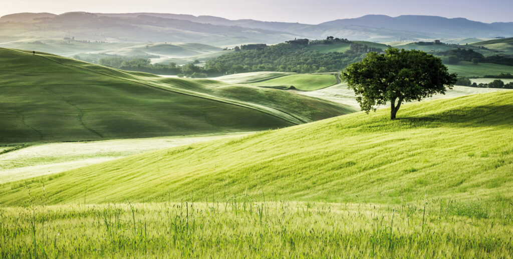 Natural Naturfarben – powered by natural